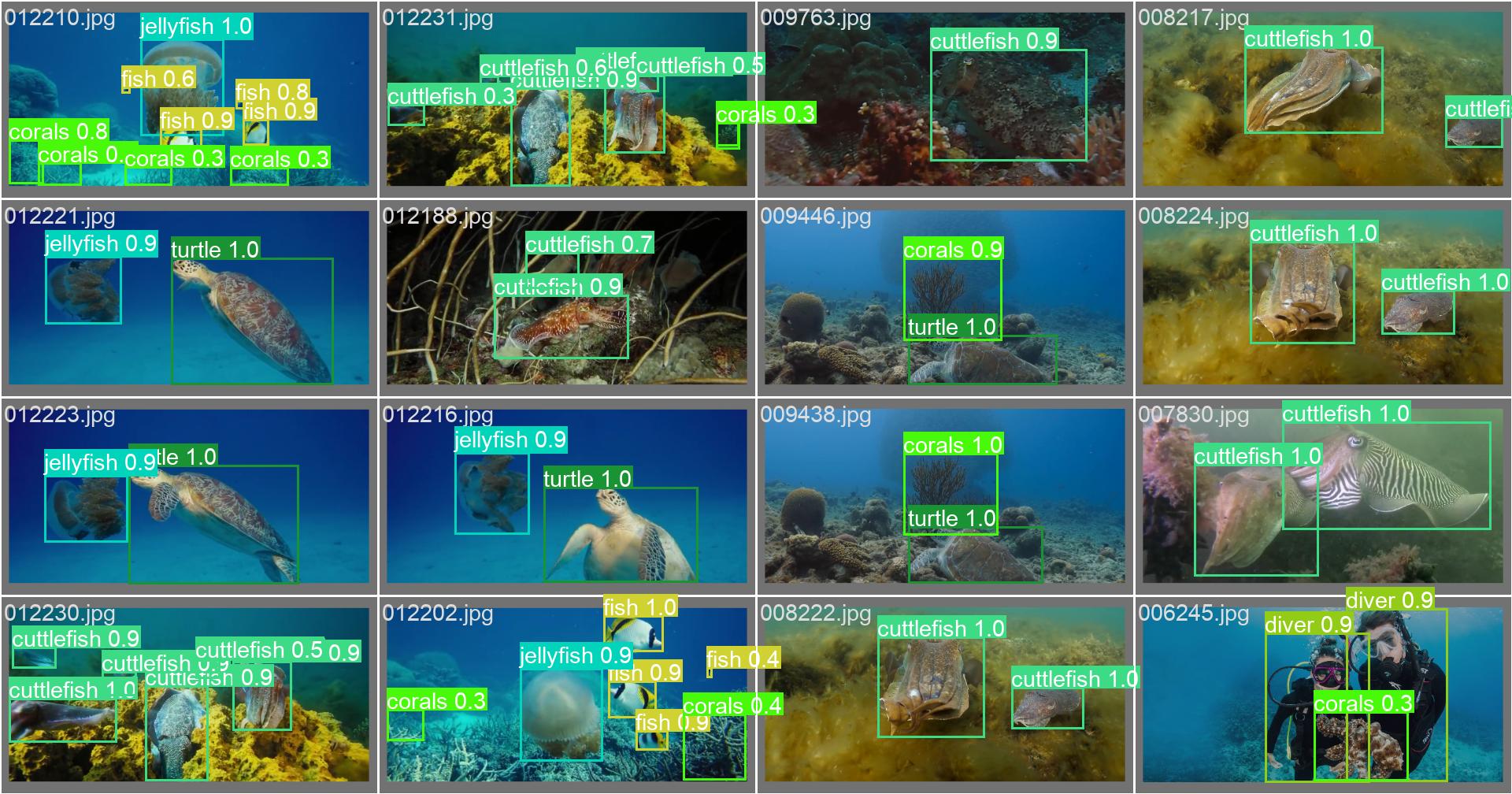 基于多实例学习和yolov10实现水下目标检测（RUOD） | 来者